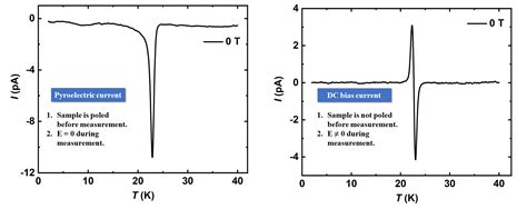 Role Of Dipole Relaxation In Measuring Electric Polarization In Type‐ii