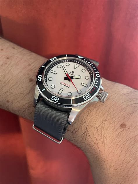 Dwc D001 Fresh Dial And Hands For This Diy Watch Club Diver R