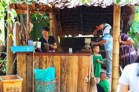 Чианг Май Еднодневна екскурзия до парк Дой Интанон и поход до Пха Док Сиу Getyourguide