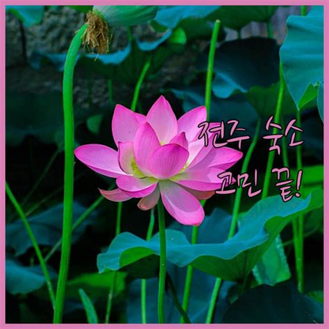 전주 여행 숙소 고민 끝 라한호텔 한옥호텔 궁 왕의지밀 완벽 가이드 It리뷰