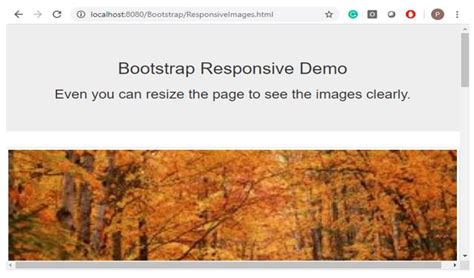 Bootstrap Responsive How Can We Get Responsive Website In Bootstrap