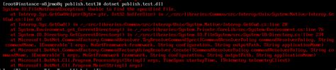 Net 50 在linux 启动报错 Systemiofilenotfoundexceptionunable To Find The