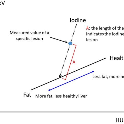 Diagram Of Three Material Decomposition Download Scientific Diagram