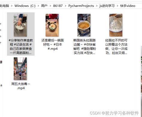 简单爬虫案例——爬取快手视频 Csdn博客