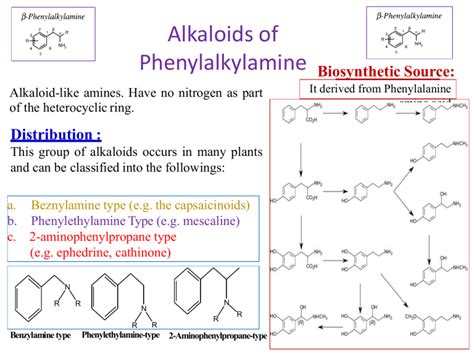 Alkaloids Phenylalkylamine And Pyridine Lecture Notes