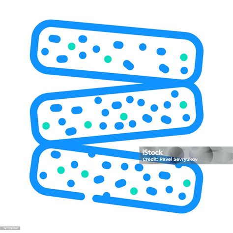 삶은 소시지 고기 색 아이콘 벡터 일러스트 레이 션 고기에 대한 스톡 벡터 아트 및 기타 이미지 고기 구이 굽기 Istock