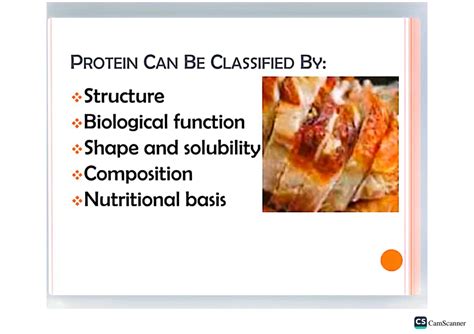 Solution Classification Of Protein Studypool