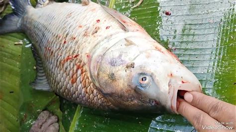 Sangha Lian Tawk Man Lai Youtube