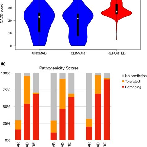 A Violin Plot Comparing The Cadd Scores Of Variants In The Download Scientific Diagram