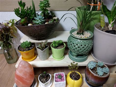 다육식물 화분만들기 2017