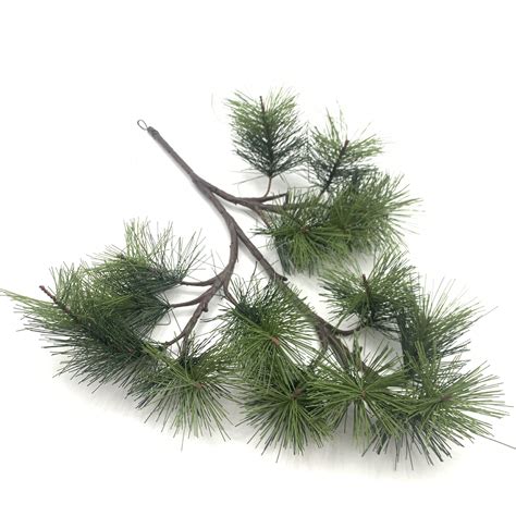 松针图片大全大图 简笔画 素材 第3页 大山谷图库