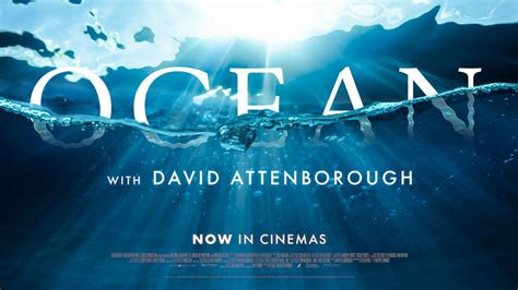 Ocean With David Attenborough Release Date Show Times And Trailer