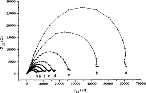 Method For Preparing Novel Antibiotic Nanometer Biosensor Eureka Patsnap