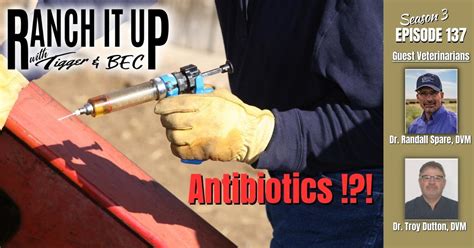 Can We Get Livestock Antibiotics Any Longer We Have The Answers
