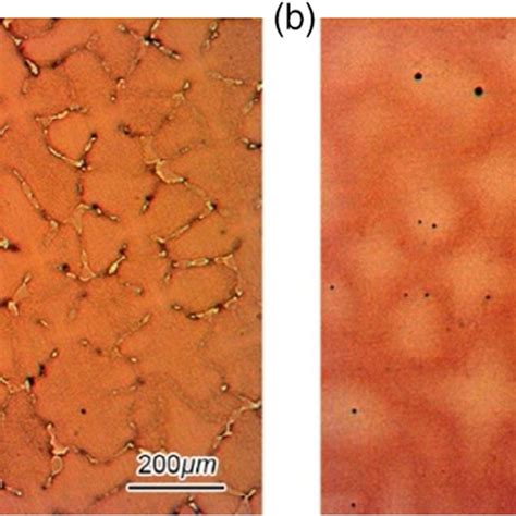 Dendritic Structures A In As Cast Condition And B After Ht4