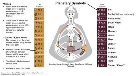 Quantum Human Design™ Chart Orientation