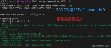 Ffmpeg 向流媒体服务器推rtsp 流时候的 交互过程以及接收到的 Rtp包解析rtp推流流程 Csdn博客