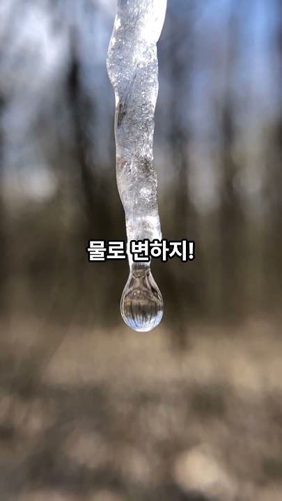 물질의 상태 변화 쉽게 이해할수 있어요 고체 액체 기체 물질의상태 수증기 얼음 물 초등5학년 과학 Youtube
