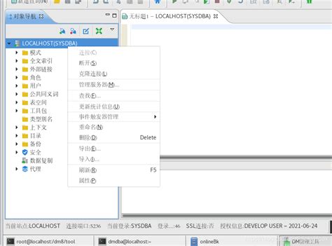 达梦数据库管理工具介绍达梦管理工具怎么打开 Csdn博客 达梦数据库管理工具介绍达梦管理工具怎么打开 Csdn博客