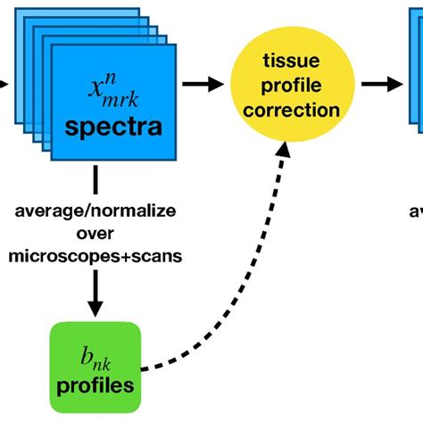 A Diagram Of The Procedure Used To Correct The Entire Dataset Overall Download Scientific