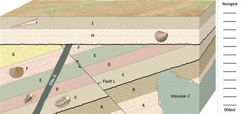 Solved Activity 10 4 2b Identify The Type Of Unconformity