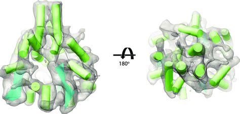 Secondary Structure Elements In The Base Domain Secondary Structure Download Scientific
