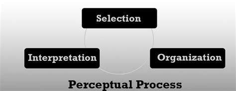 Perception Types And Factors Affecting It Onlinemkt