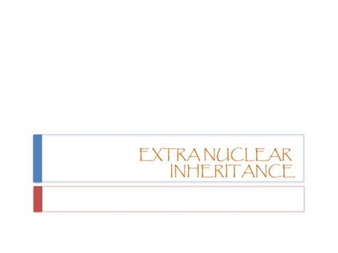 Extra Nuclear Inheritance Pptx