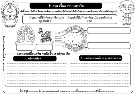 สื่อ สื่อ และใบงานวิทยาศาสตร์ By Cherfon
