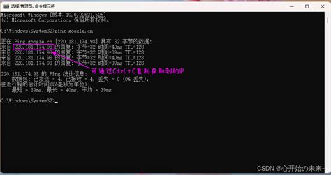 100 快速解决谷歌翻译无法使用的问题，附修复工具 谷歌一键修复工具 csdn博客