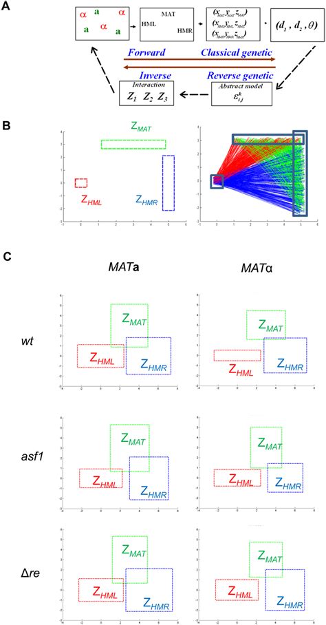 An Abstract Model To Determine The Relative Physical Constraint Of