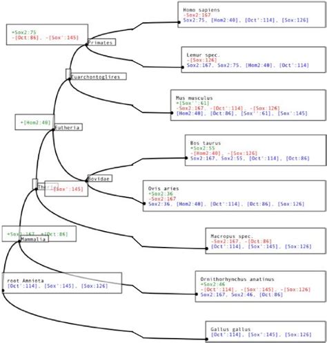 Fitch And Dollo Parsimony Difference Between Reconstruction Of The Download Scientific Diagram