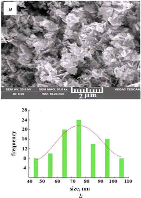 Morphology And Size Characterisation Of Nano Ago Particles A Fe‐sem