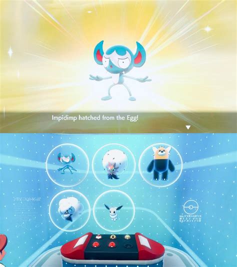 After Failing At Breeding For Shiny Eevee For Almost A Week I Decided To Switch To Impidimps