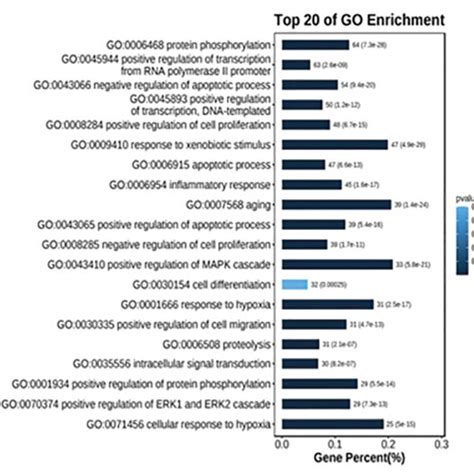Gene Ontology Annotation Go Enrichment A Cellular Component B