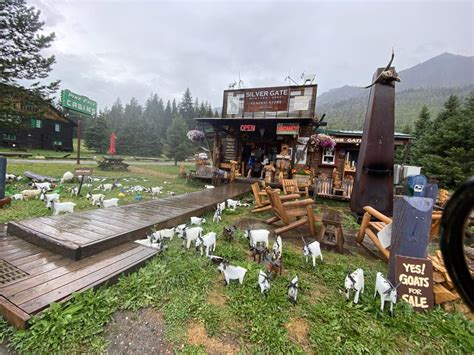 Things To Do And See On The Beartooth Highway And Beartooth Pass Montana And Wyoming