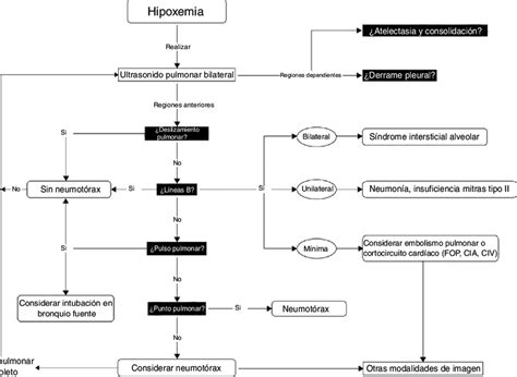 Algoritmo Para El Ultrasonido Pulmonar Algoritmo Para El Ultrasonido Download Scientific