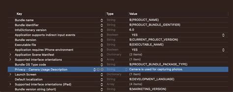 ios — how to integrate camera apis using swiftui