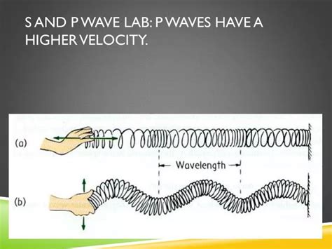 PPT S And P Wave Lab P Waves Have A Higher Velocity PowerPoint Presentation ID