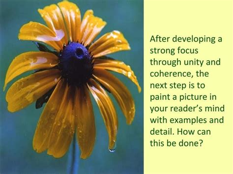 Unity Coherence Development PPT