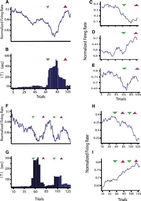 Examples Of Experimental Sessions Where The Population Mean Firing Rate