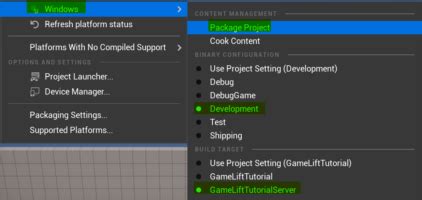 Unreal Engine GameLift Part Basic Multiplayer Example