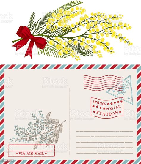 노란색 미모사 꽃의 손으로 그린 스케치 분기 빈티지 엽서 봉투의 템플릿 질감 그런 지 8 3 월 고무 스탬프 장소 당신의 인사말 텍스트 디자인 여성 일 포스터에 대 한 좋은