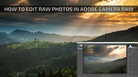 Best Raw Image Processing Software Lmlikos