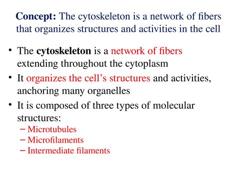 Introduction To Cytoskeleton And Cell Matrix Interaction Ppt
