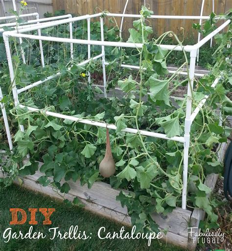 DIY Garden Trellis Part 2