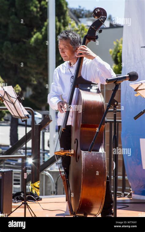 The Double Bass Upright Bass Is The Largest And Lowest Pitched Bowed String Instrument In The