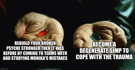 You Have Two Choices Ddlc Players Choose Wisely Rddlc
