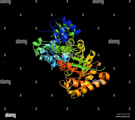 Triose Phosphate Isomerase Tpi Molecule Computer Model Showing The Shape Secondary Structure
