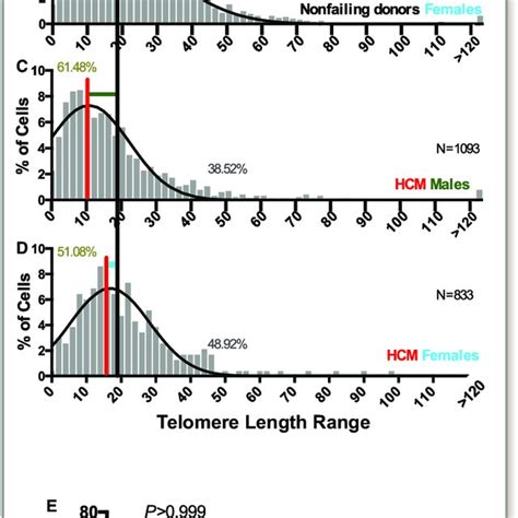 Sex Dependent Telomere Shortening In Response To Download Scientific